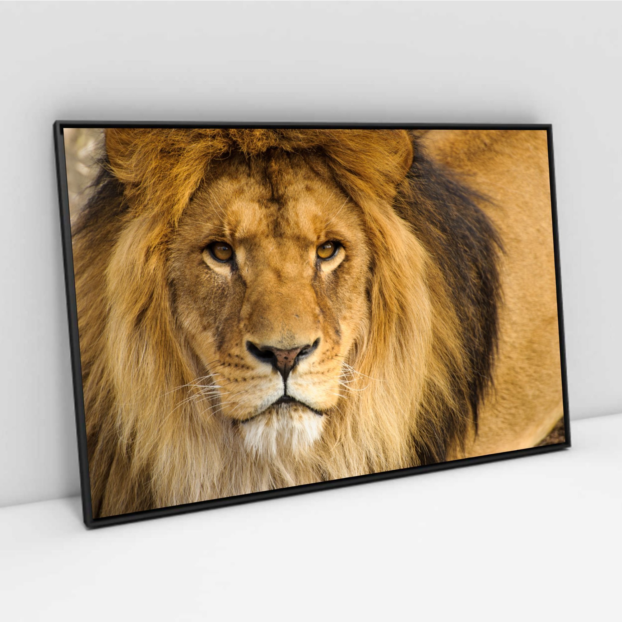 Quadro Decorativo Retrato De Leão Em Foco